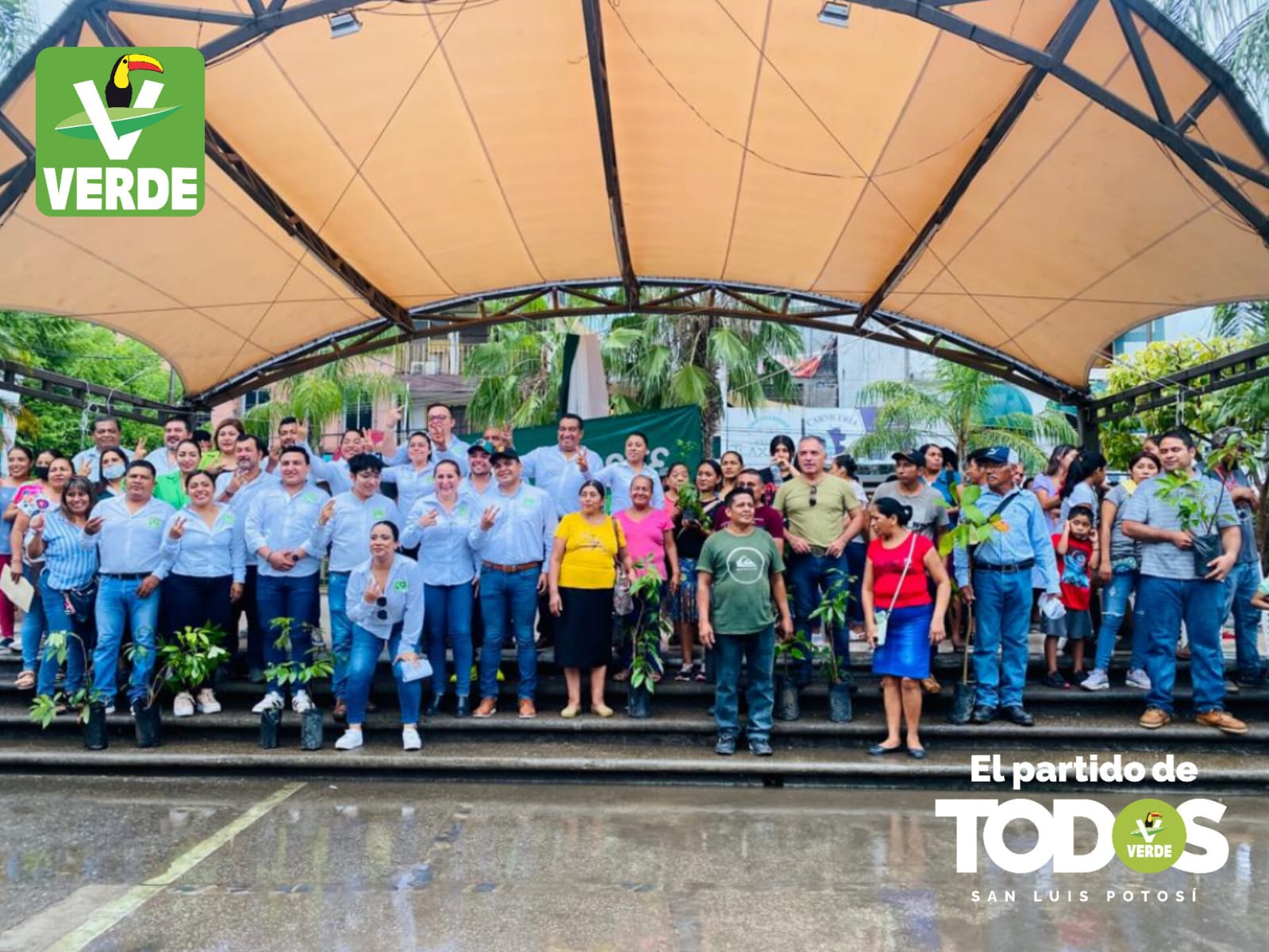 PVEM inicia campaña “Adopta un árbol” en Tamazunchale - Partido Verde ...